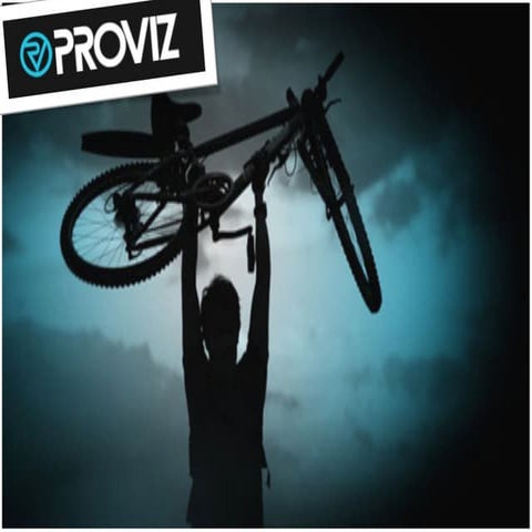 Proviz | PPT