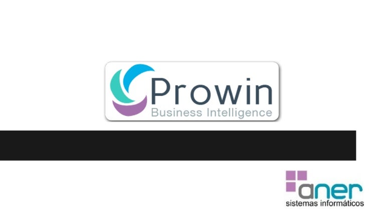 Prowin Business Intelligence