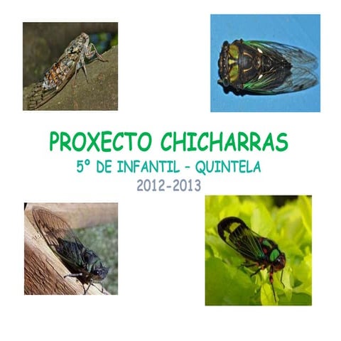 Proxecto chicharras def. | PPSX