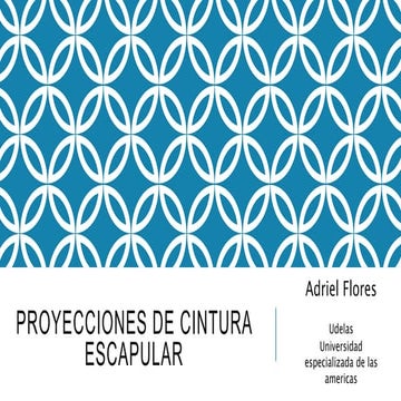 Proyeccion ap, lateral y oblicua del pie | PPTX