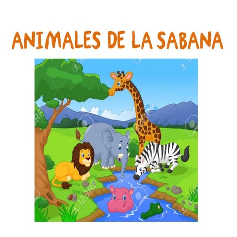 Proyecto animales | PDF