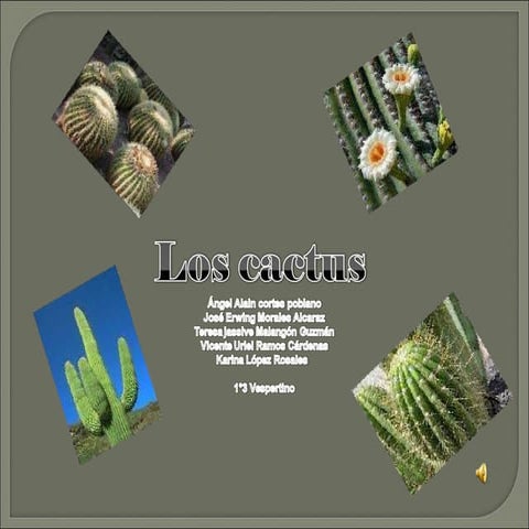 Proyecto Cactus 1°3vesp | PPT