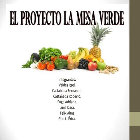 Mapa conceptual de alimentos | PPT