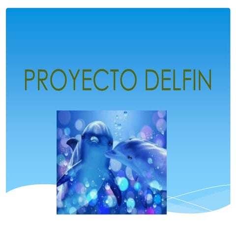 Proyecto delfin | PPTX