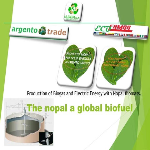 PROYECTO ECOBIO NOPA BY MJC-ECO IADER GROUP.pdf