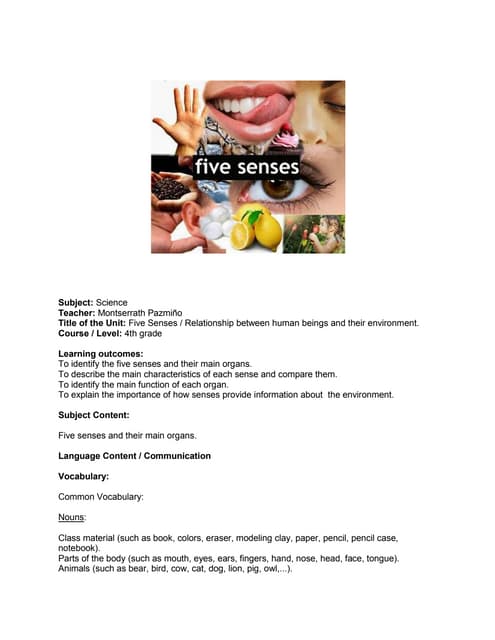 The Five Senses Powerpoint | PPTX | Perfume and Fragrance | Beauty