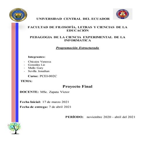 Proyecto final | DOCX