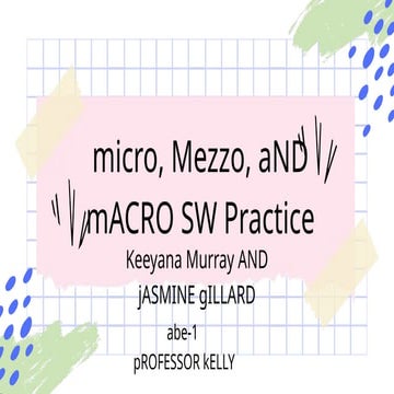 Micro, Mezzo, and Macro Social Work in the Field | PPTX