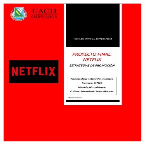 PROYECTO FINAL NETFLIX. ESTRATEGIAS DE PROMOCIÓN | PDF