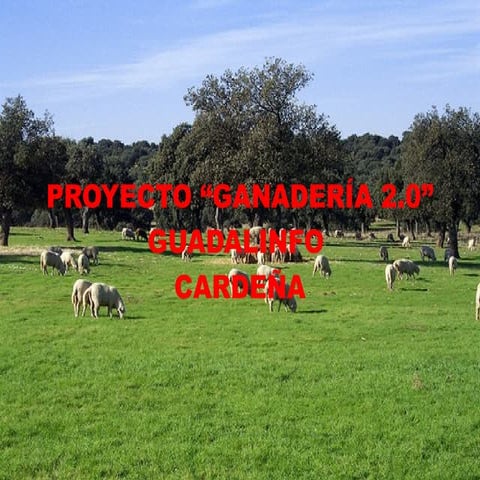 Modificar Censo. Gestión de Guías Ganaderas. Ganadería 2.0 Guadalinfo ...