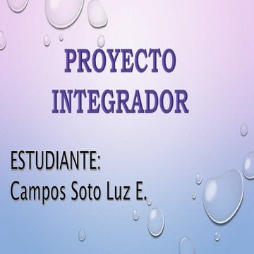 PROYECTO INTEGRADOR - DIAPOSITIVAS.pptx