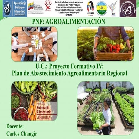 Proyecto IV primer Avance | PDF