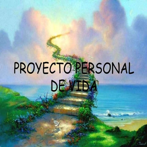 Pasos para definir proyecto de vida personal