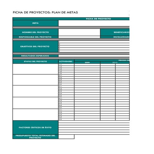 Formatos plan de metas | XLS