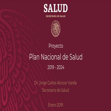 Proyecto Plan Nacional De Salud 2019 2024 1 Pdf