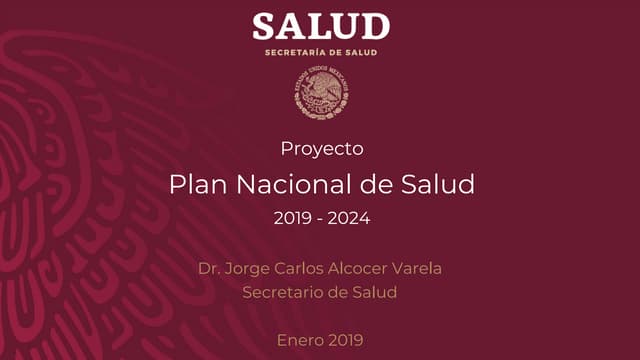 Proyecto Plan Nacional De Salud 2019 2024 1 Pdf