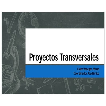 Proyectos Transversales Pdf