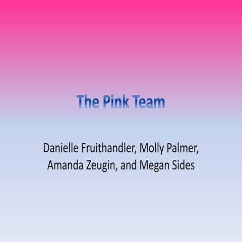 The Pink Team: Interview Project | PPT
