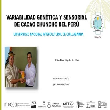 Su Majestad el Cacao Nativo Chuncho del Perúpptx | PPTX