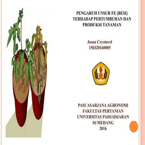 PENGARUH UNSUR FE (BESI) TERHADAP PERTUMBUHAN DAN PRODUKSI TANAMAN | PPTX