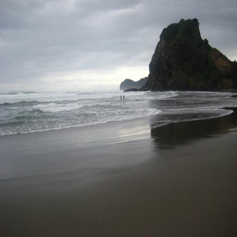 Piha | PPT
