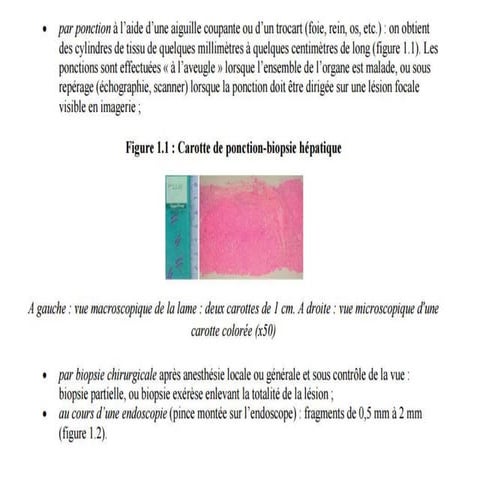 anapath | PPTX