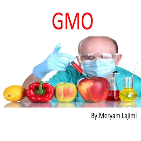 GMO | PPT