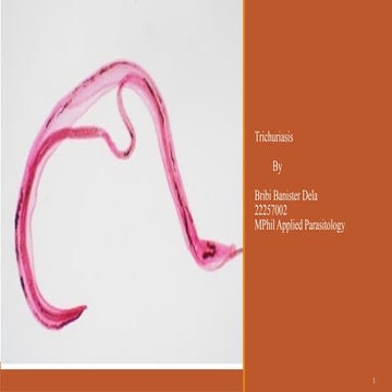 Trichuris trichiura infection | PPTX