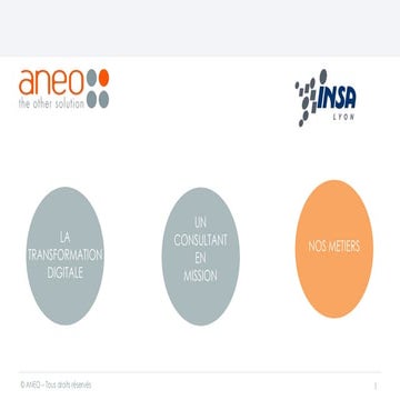 Aneo