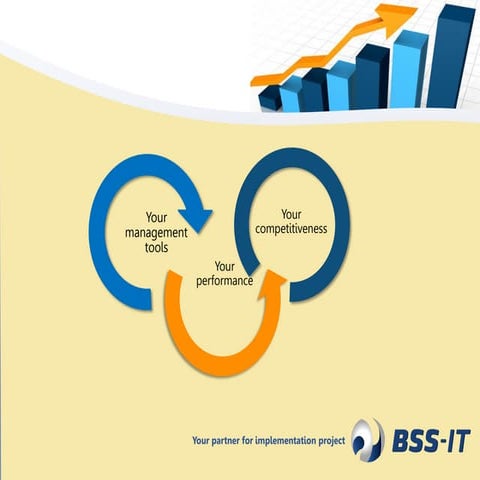 Overview bss-it en | PPT