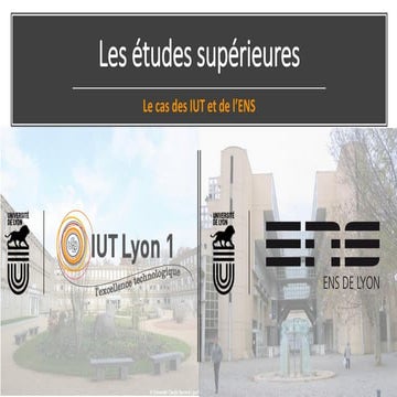 Présentation IUT Lyon1 | PPT