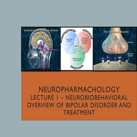 Understanding Bipolar Disorder: Biopsychosocial Approaches to Mind Body ...