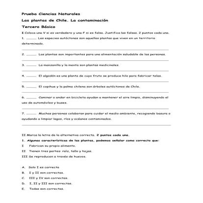 Prueba de las plantas | DOCX