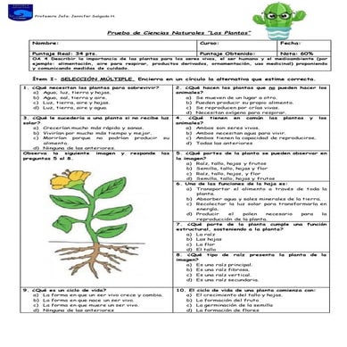 Prueba de las plantas | DOCX