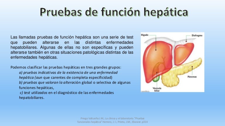 Prueba de funcion hepatico