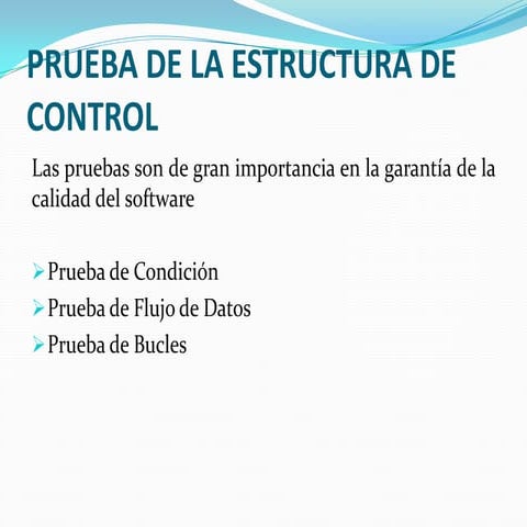 Prueba De La Estructura De Control | PPTX