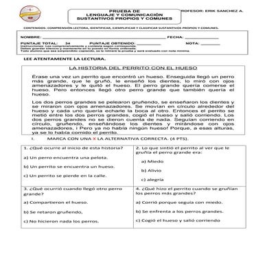 Prueba de lenguaje sustantivos | DOC