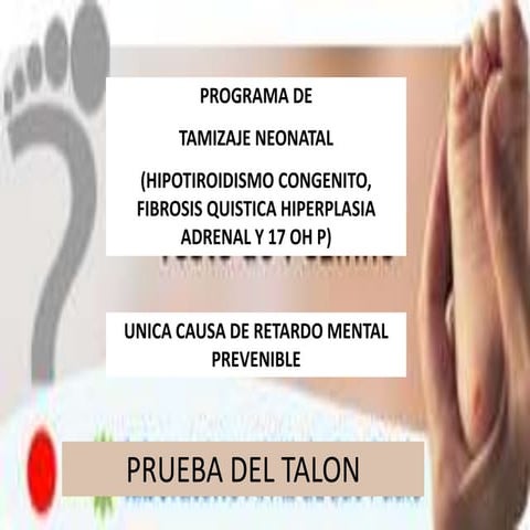 Prueba del talon | PPTX