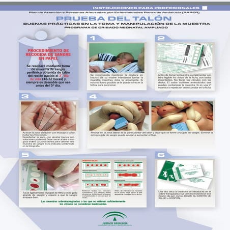 Buenas prácticas para la prueba del talón | PDF