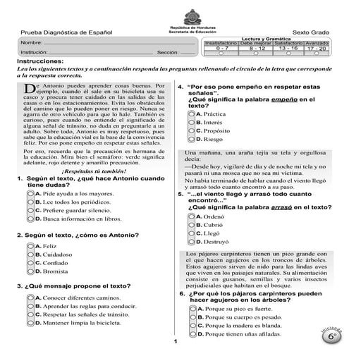 Prueba Diagnóstica 6º Español (2011).pdf