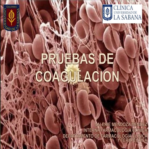 Túbulo contorneado proximal | PPTX