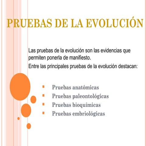 Pruebas de la evolución | PPT