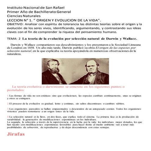 Pruebas de la evolucion | DOCX