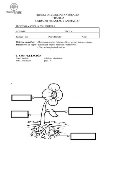 Prueba ciencias las plantas | PDF