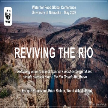 Reviving The Rio: Returning water to one of America's most endangered ...