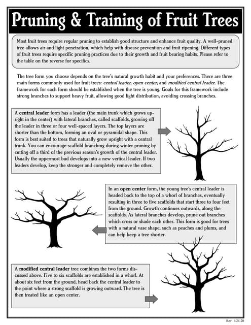 Canopy types and structures: Canopy Management.pptx | Gardening | Home ...