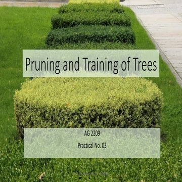 Pruning and Training of Trees.pdf