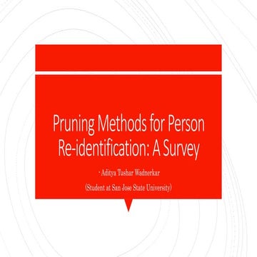 Pruning methods for person reidentification: A Survey | PPTX