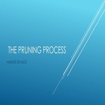 Pruning process | PPTX