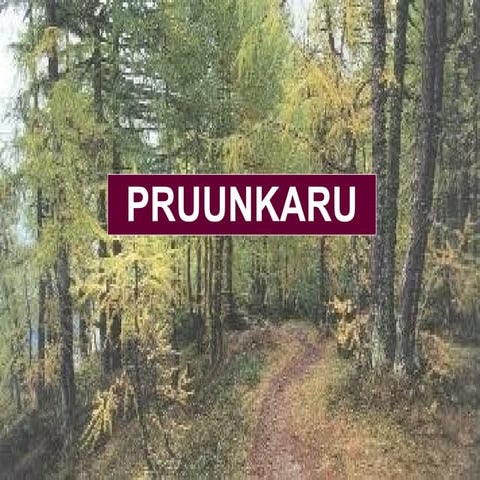 Pruunkaru | PPT